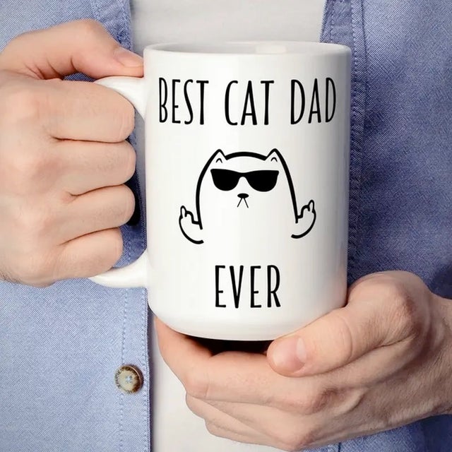 Cat Stuff with Swear Words | Cat aMEWsement